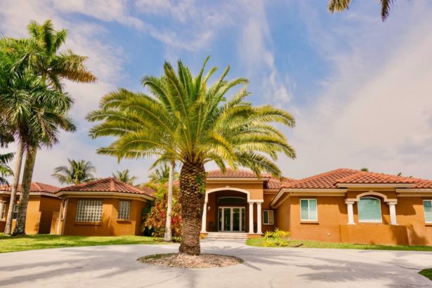 United Recovery Project | Luxury Substance Abuse Treatment Center